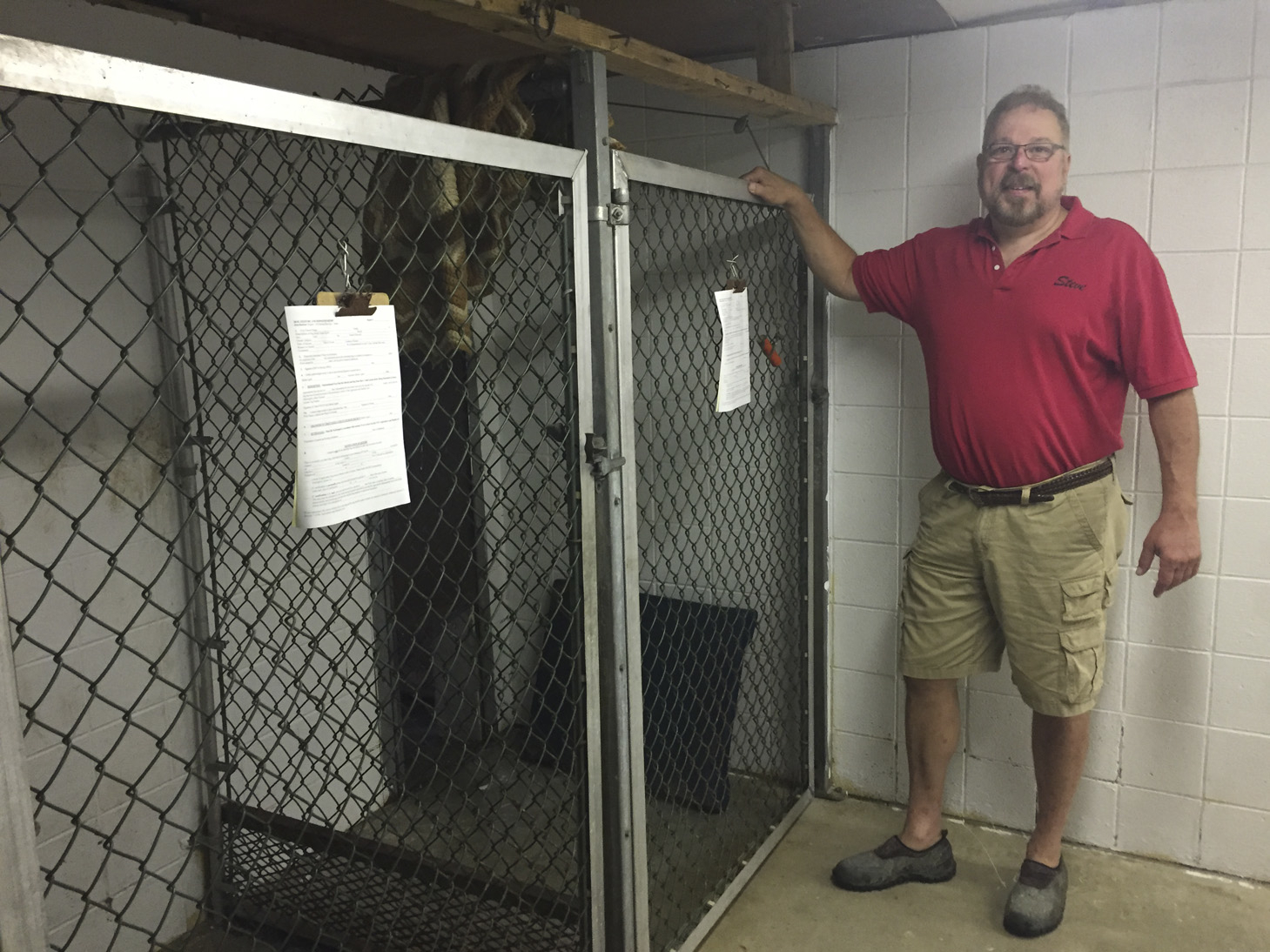 City Pound A Temporary Stay For Local Lost Dogs | News, Sports, Jobs ...